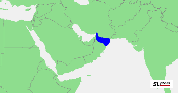 Τάνκερ βουλιάζει στο Ομάν - slpress.gr