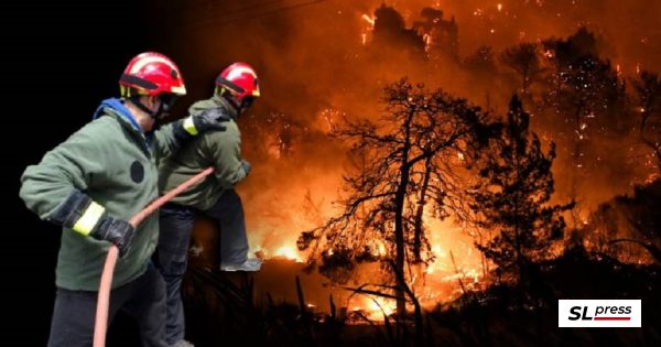 Πυρκαγιές: Ο χάρτης πρόβλεψης κινδύνου για σήμερα Τρίτη 24 Ιουνίου - slpress.gr