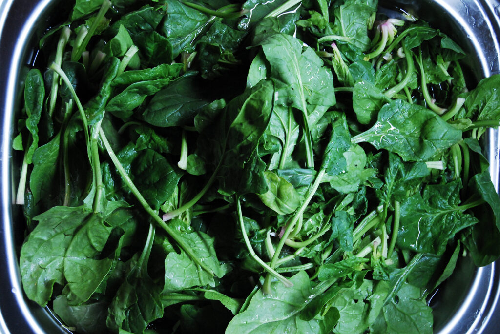 Σπανακόπιτα με μυζήθρα και δυόσμο - slpress.gr