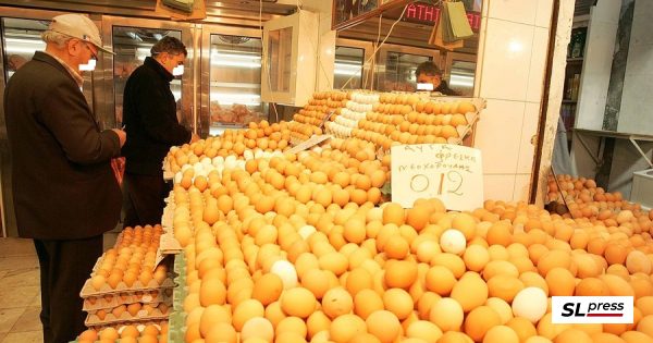 Με δείγμα από μόλις 17 μονάδες έβγαλαν συμπέρασμα για τα ελληνικά αυγά - slpress.gr